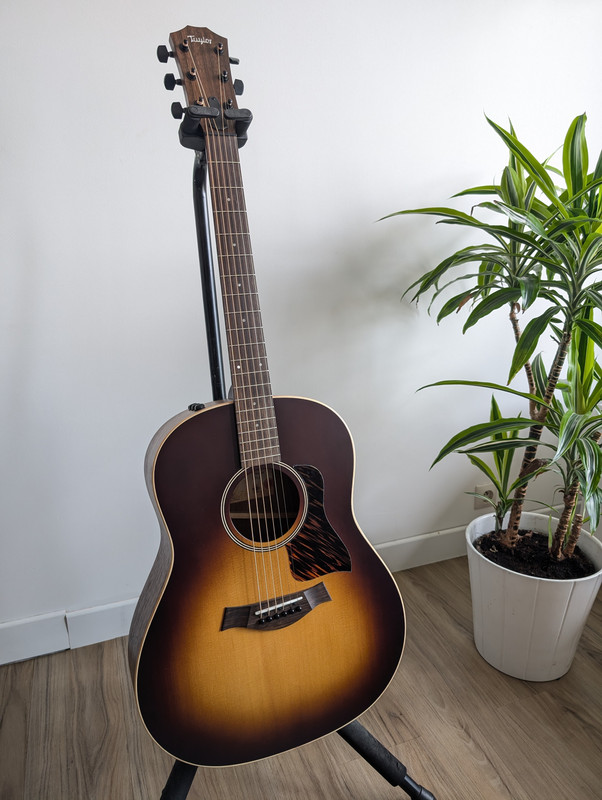 NGD Taylor AD17e SB - The Acoustic Guitar Forum