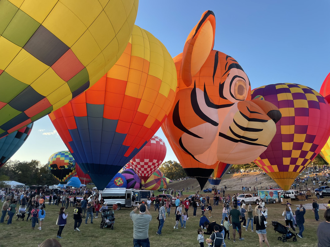 IMG 3493 — Postimages