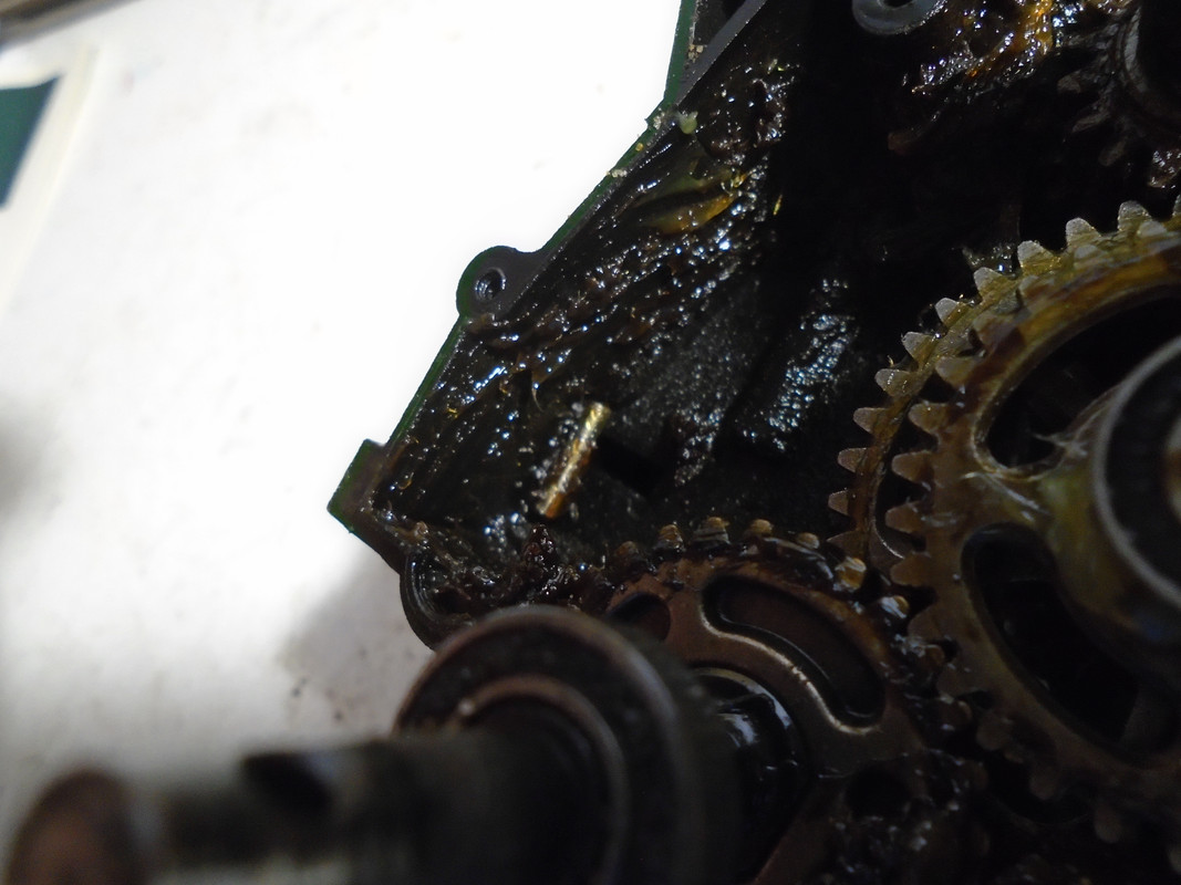 DSC02077 — Postimages