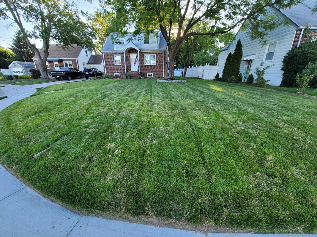 lawn 1 — Postimages