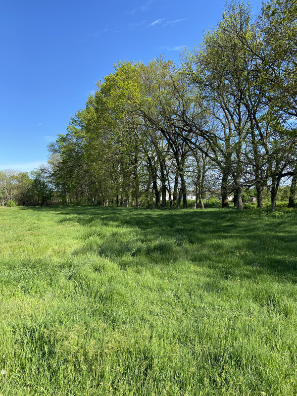 IMG 9604 — Postimages