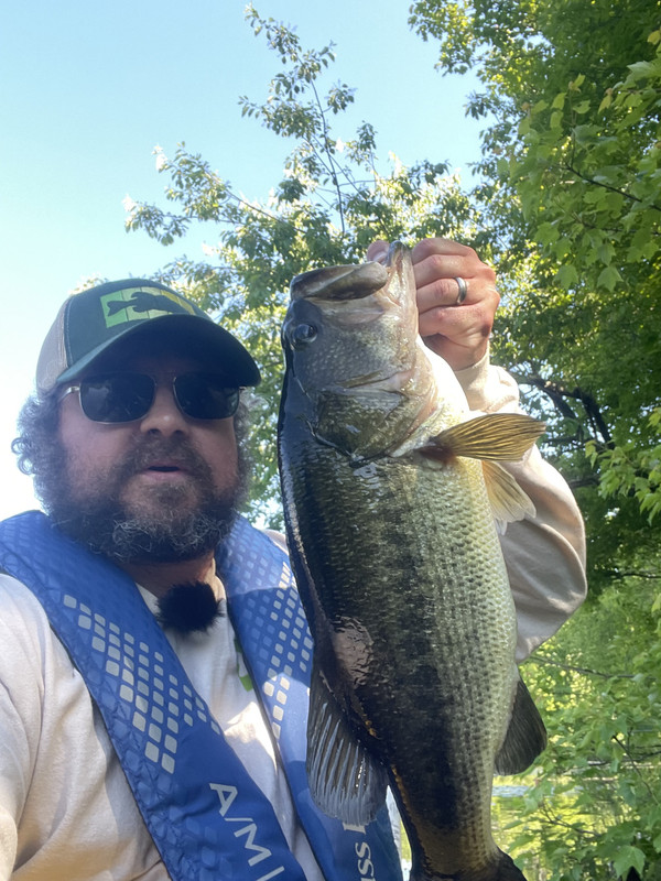 A Tail of 3 Big Largemouth Bass that is 1 Incredible Largemouth Bass ...