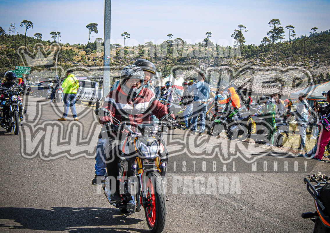 pal1 103 — Postimages