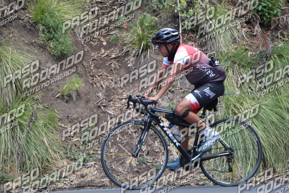 IMG 1696 wm 11531698 7 watermarked — Postimages