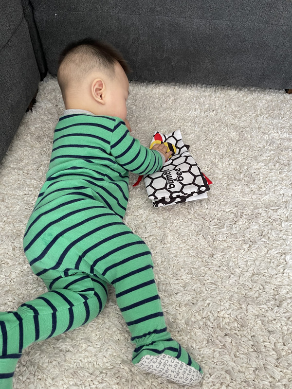 IMG 4634 — Postimages