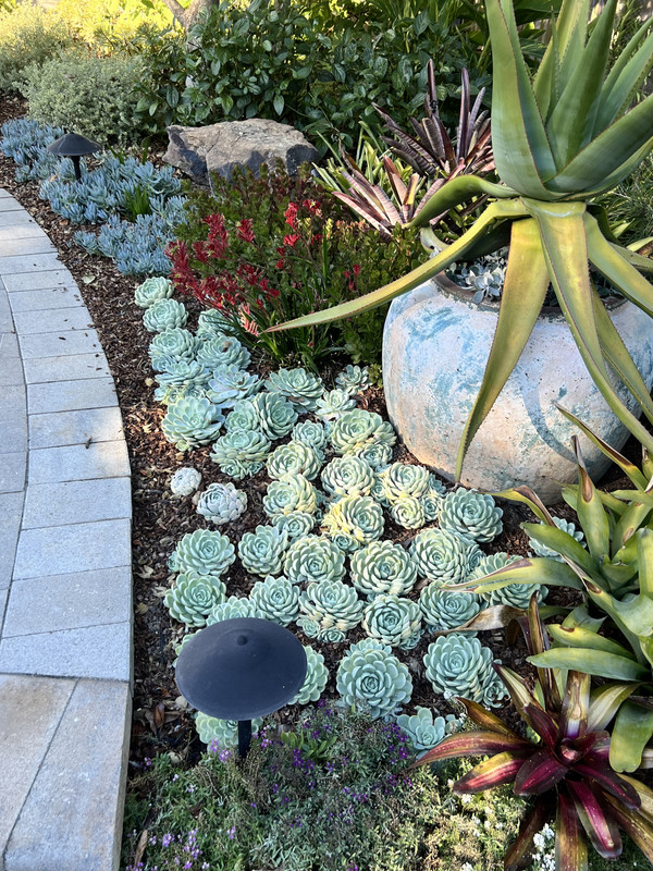 IMG 0749 — Postimages