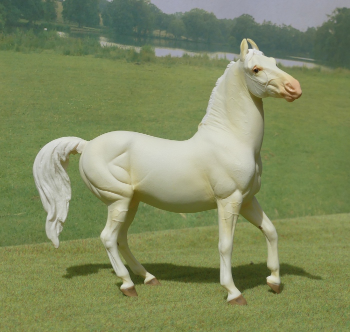 WIA's new release - Marwari in two colours