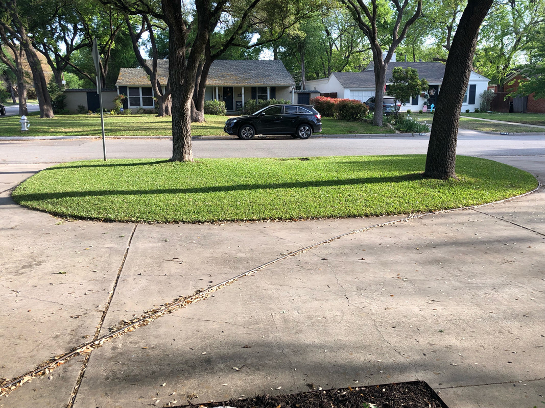 Spoon Feeding St. Augustine | Lawn Care Forum