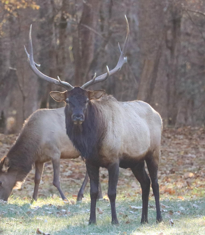 B4942 EA4 76 E4 42 F6 B72 D C912 D1 D86 EC4 — Postimages