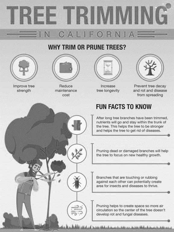 Tree Trimming Safety Infographic - SafetyNow ILT Tree Trimming Safety Infographic - SafetyNow ILT