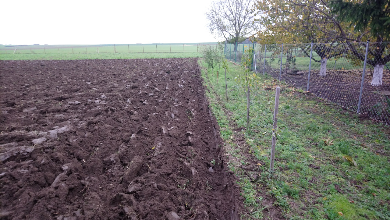 DSC 0048 — Postimages