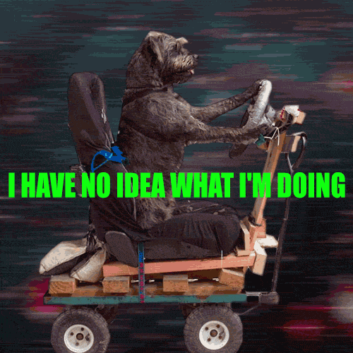 My Bryci avatar is back with all her glory! - Page 3 - AR15.COM