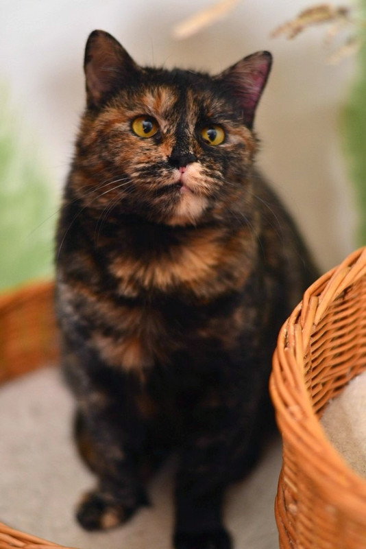 DSC 0299 — Postimages