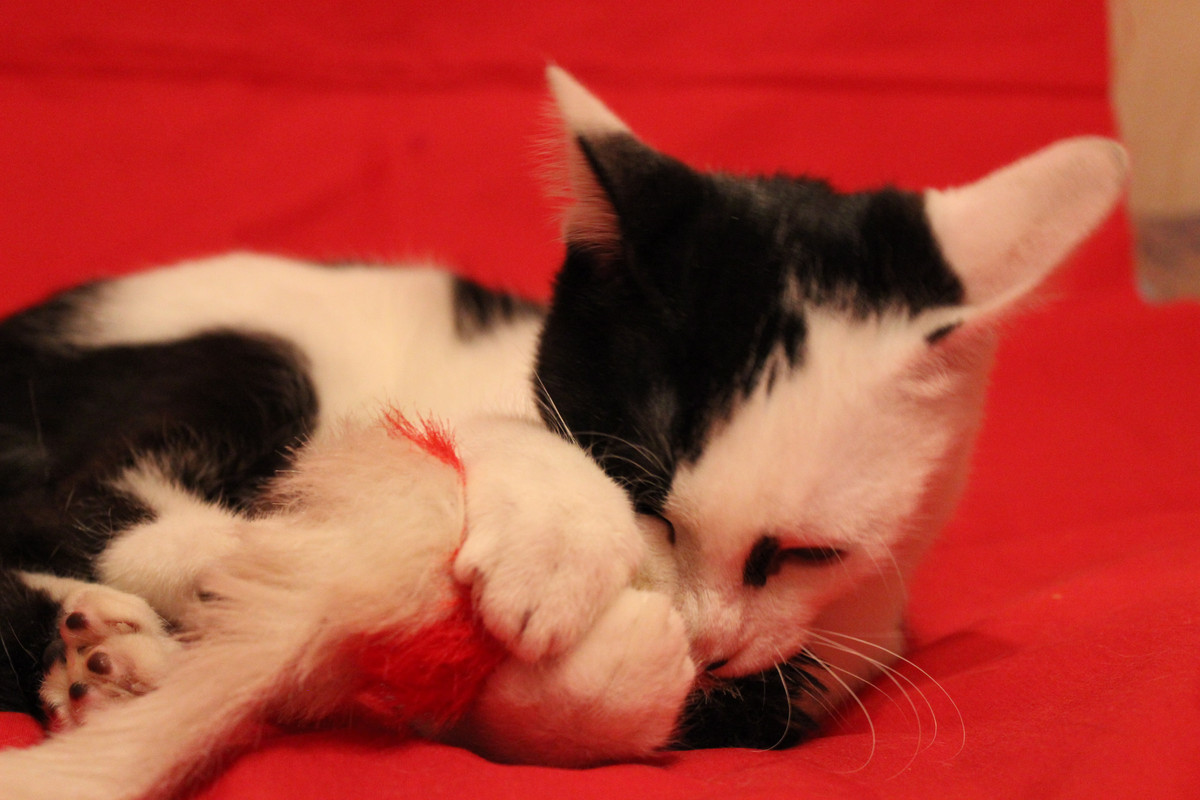 IMG 1889 — Postimages