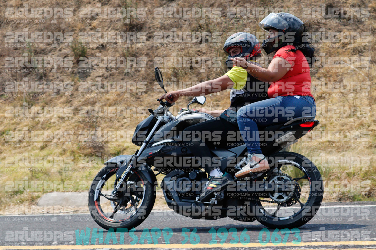 MG 1413 — Postimages