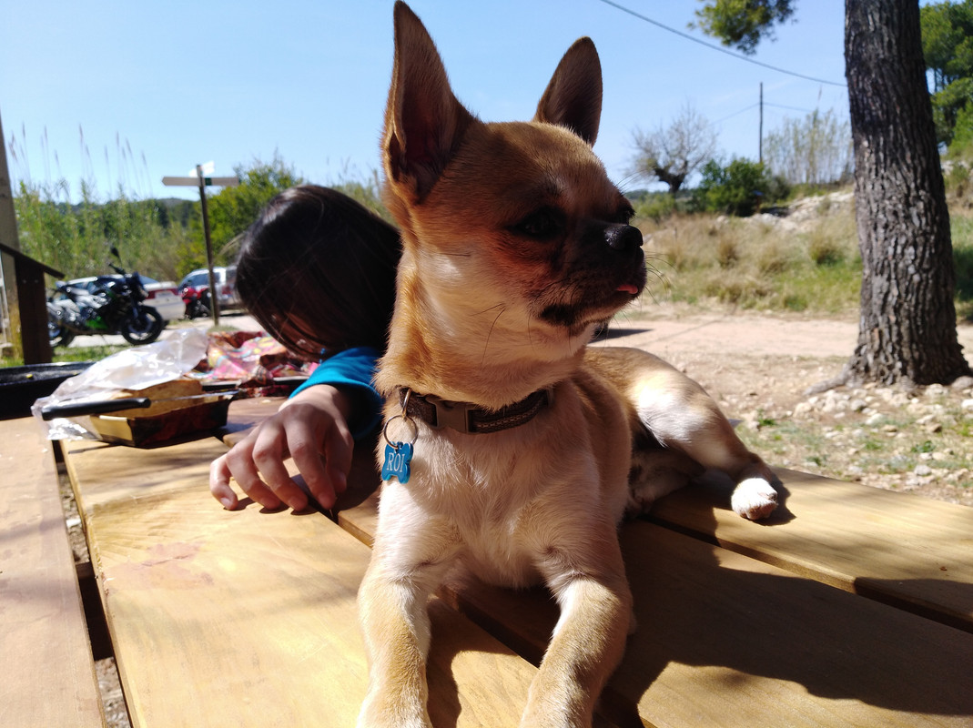 IMG 20190414 153131 — Postimages