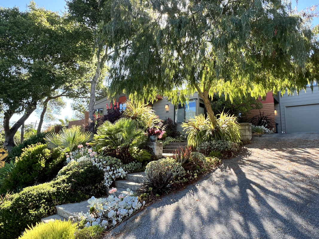 IMG 8273 — Postimages