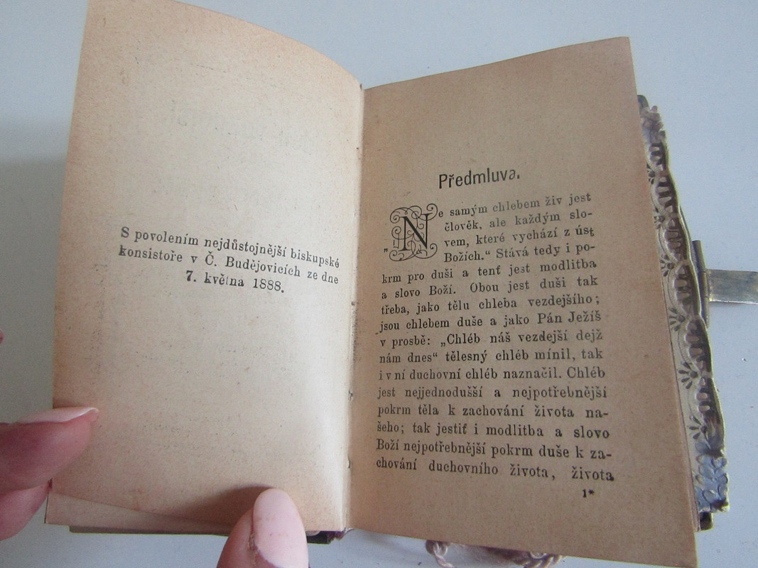 IMG 1421 — Postimages