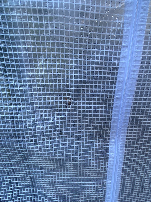 IMG 1416 — Postimages