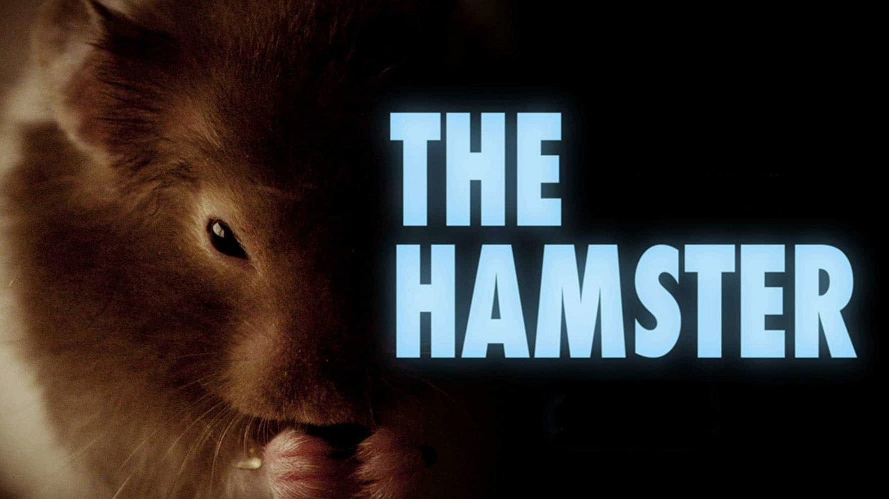 Hamster — Postimages