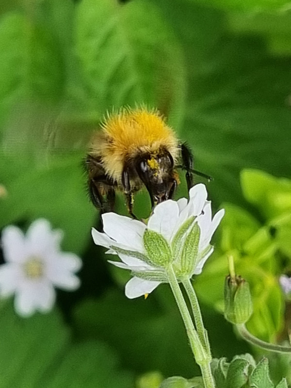 20210725 143308 — Postimages