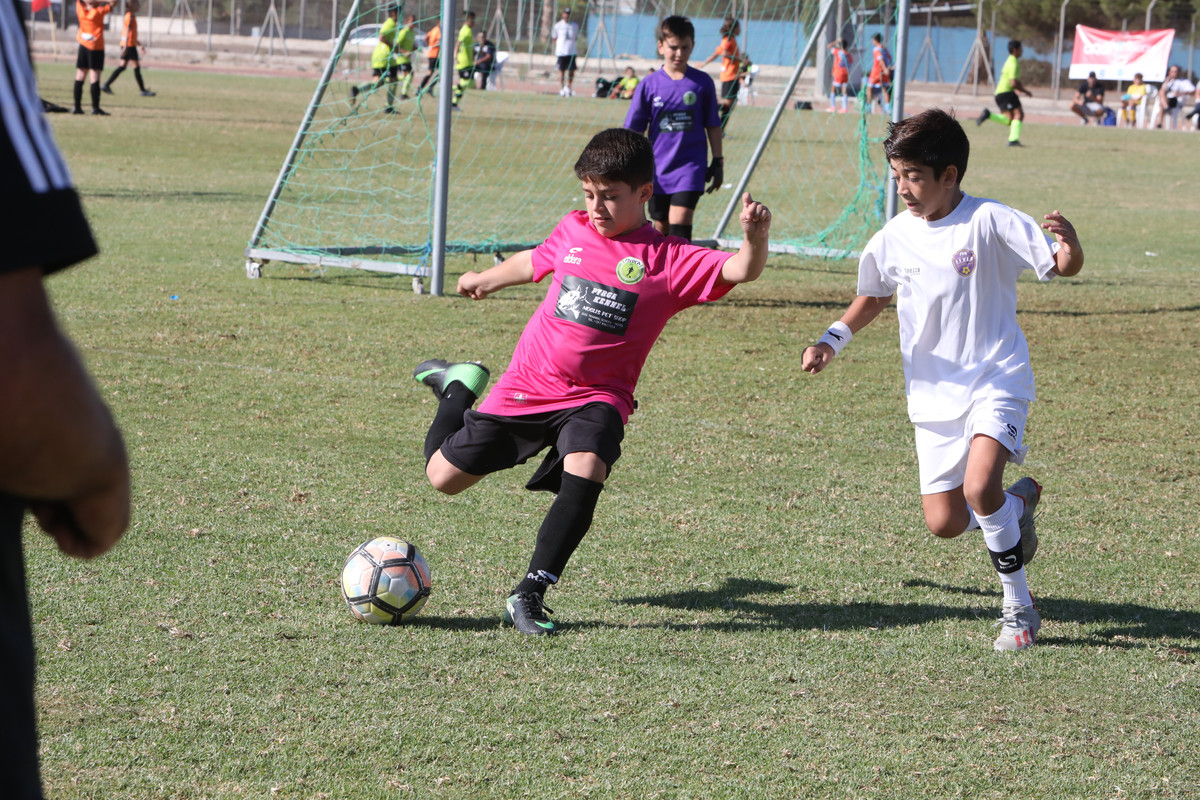 NIC 9269 — Postimages