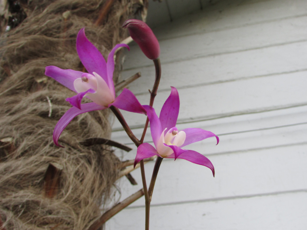 IMG 5461 — Postimages