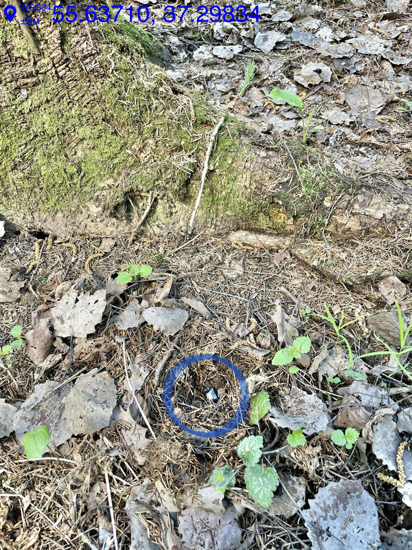 02мая23 11 29 sd — Postimages