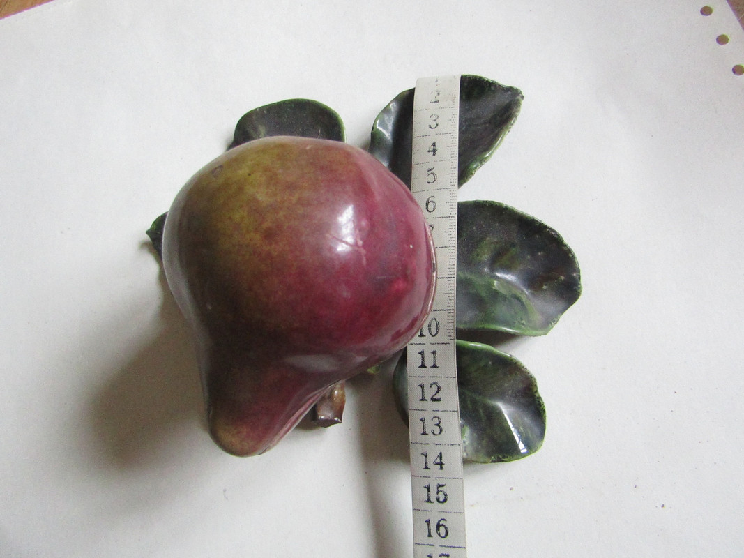 IMG 6037 — Postimages