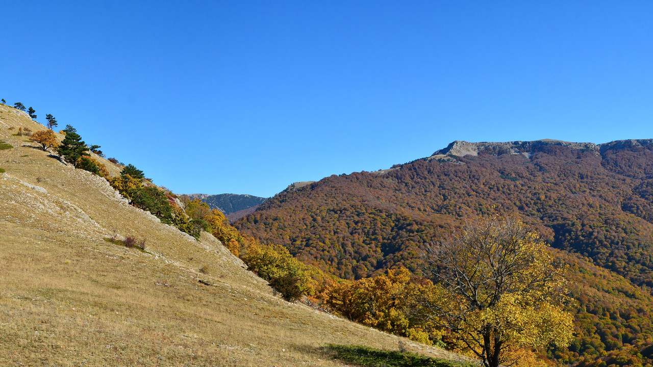 [ Group 18] DSC 8684 DSC 8692 9 images — Postimages