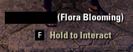 Cleaner HUD : Graphic UI Mods : Elder Scrolls Online AddOns