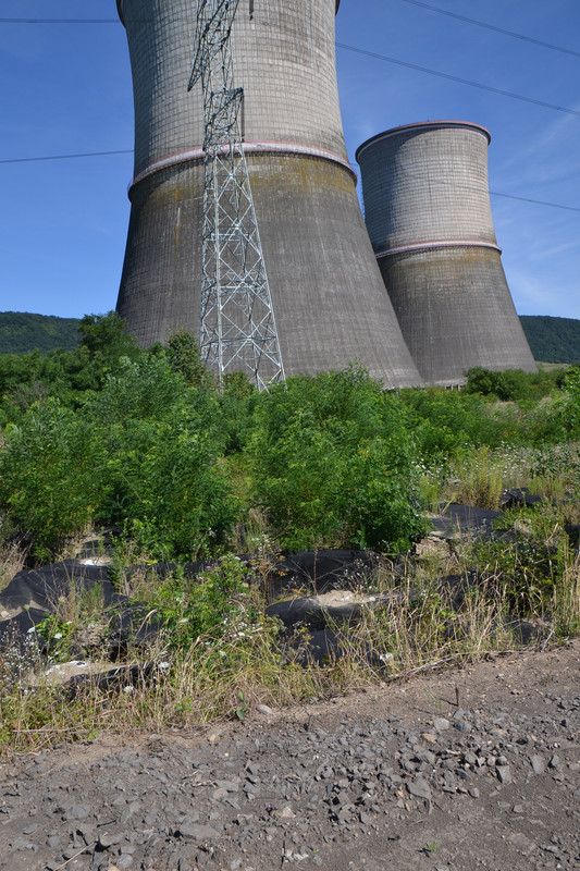 DSC 1418 — Postimages