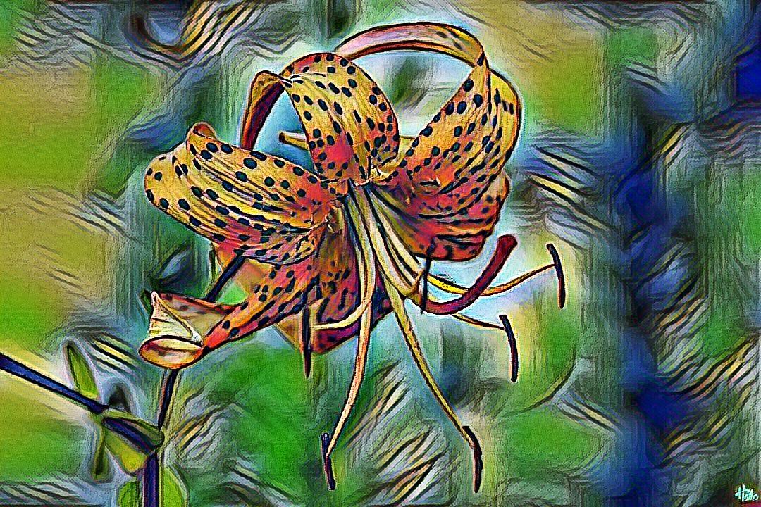 deep art effects — Postimages