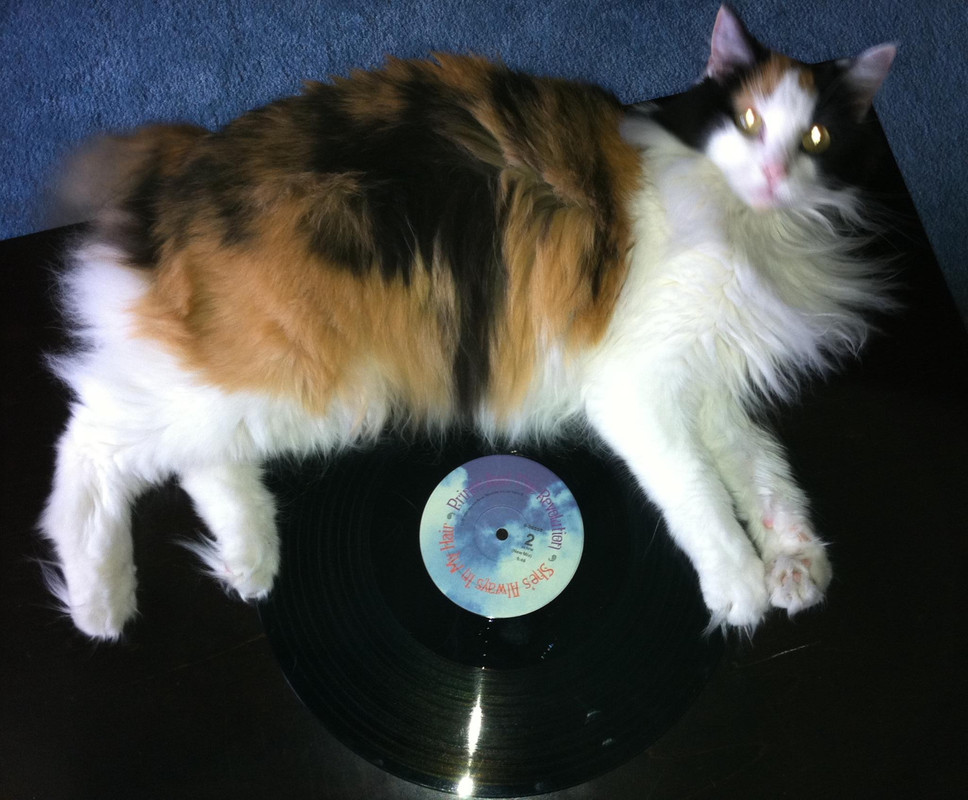 Tips for Record Collectors | Page 4 | Steve Hoffman Music Forums