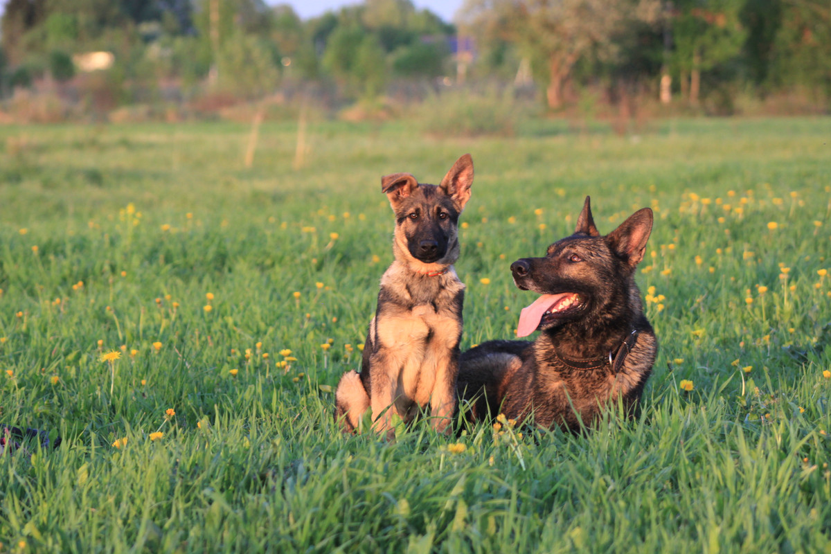 IMG 6424 — Postimages