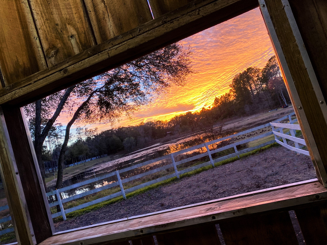 4o5bmwhetzda1 no watermark — Postimages