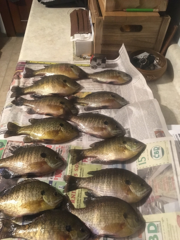 IMG 2268 — Postimages