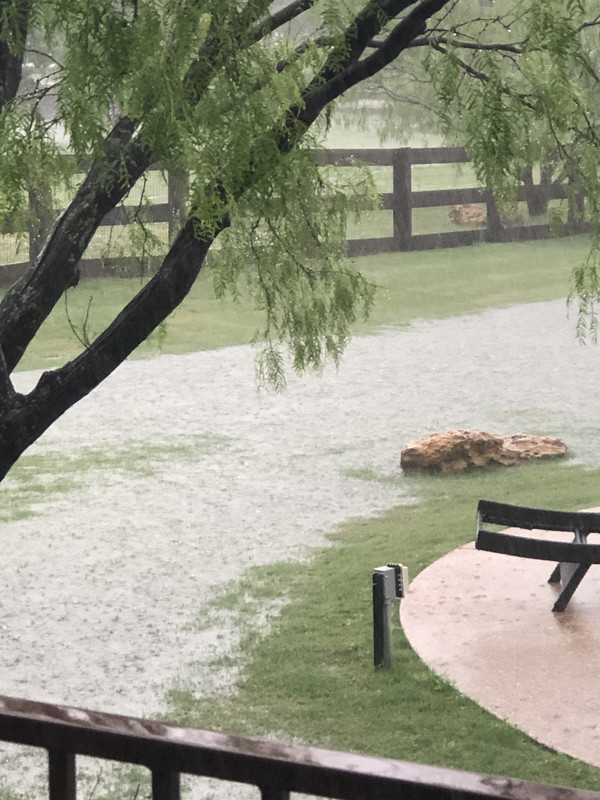 IMG 6563 — Postimages