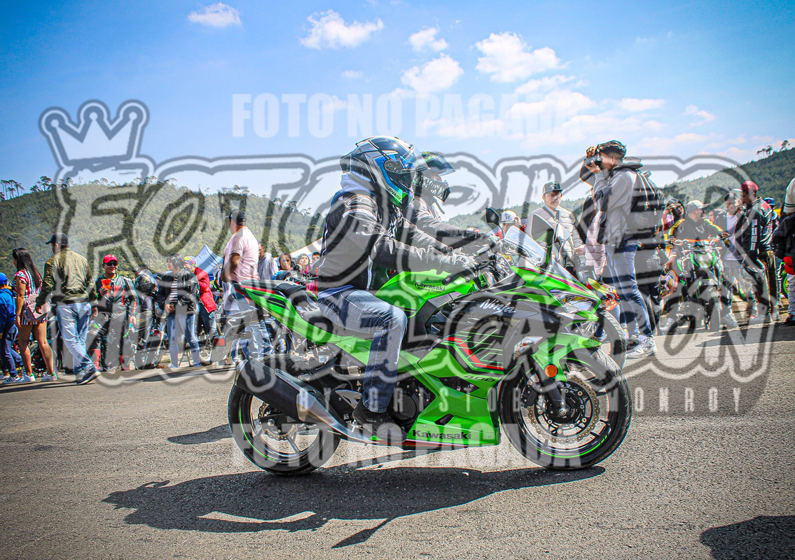 pal1 2014 — Postimages