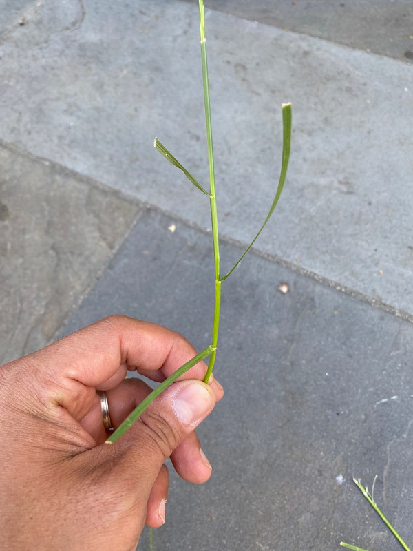 IMG 8024 — Postimages