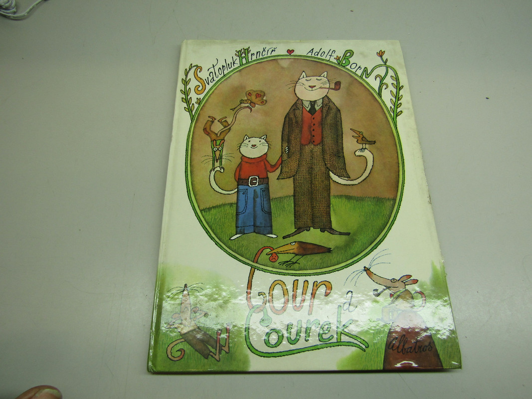 IMG 1165 — Postimages