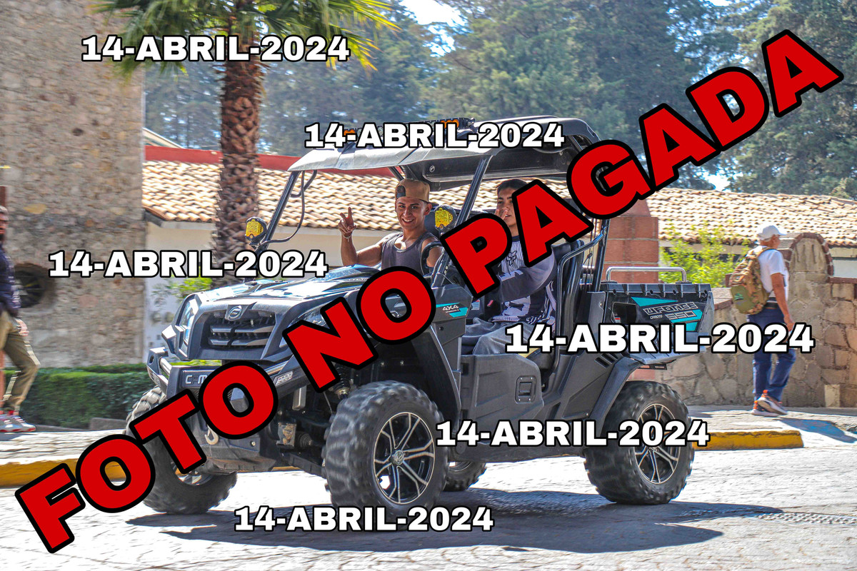 CV 113 — Postimages