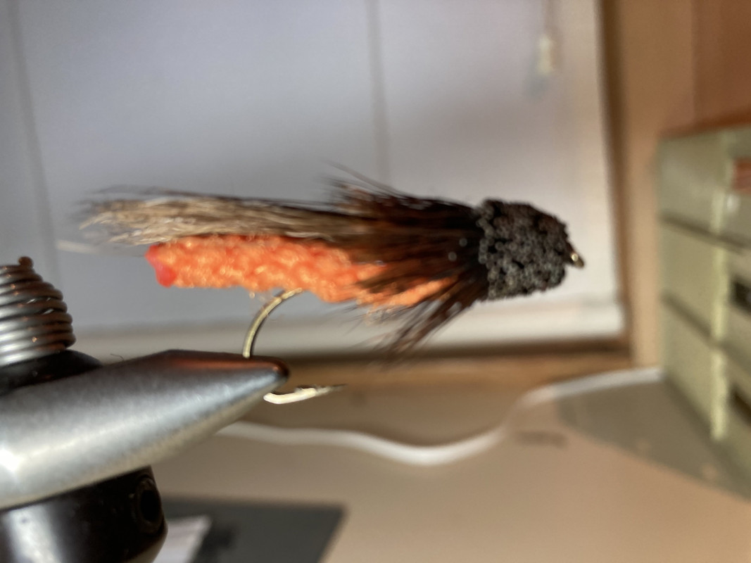 IMG 1256 — Postimages