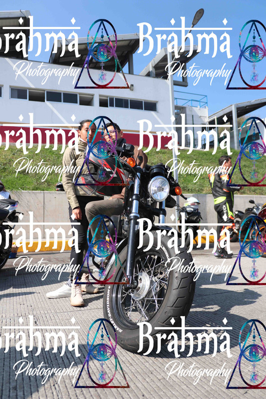 IMG 3313 — Postimages