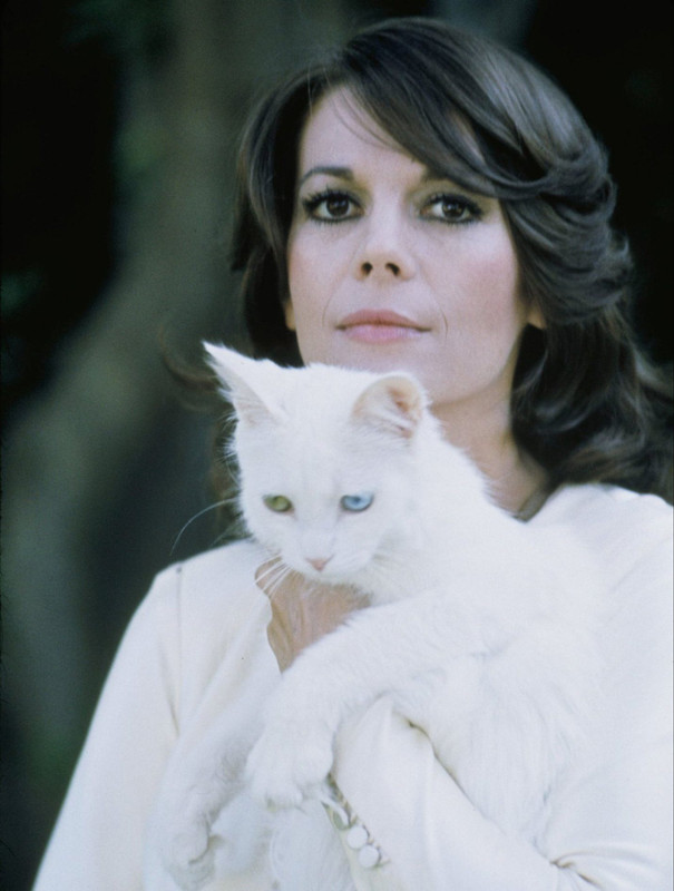 01 1938 natalie wood portrait 80s cat e1491123101373 — Postimages