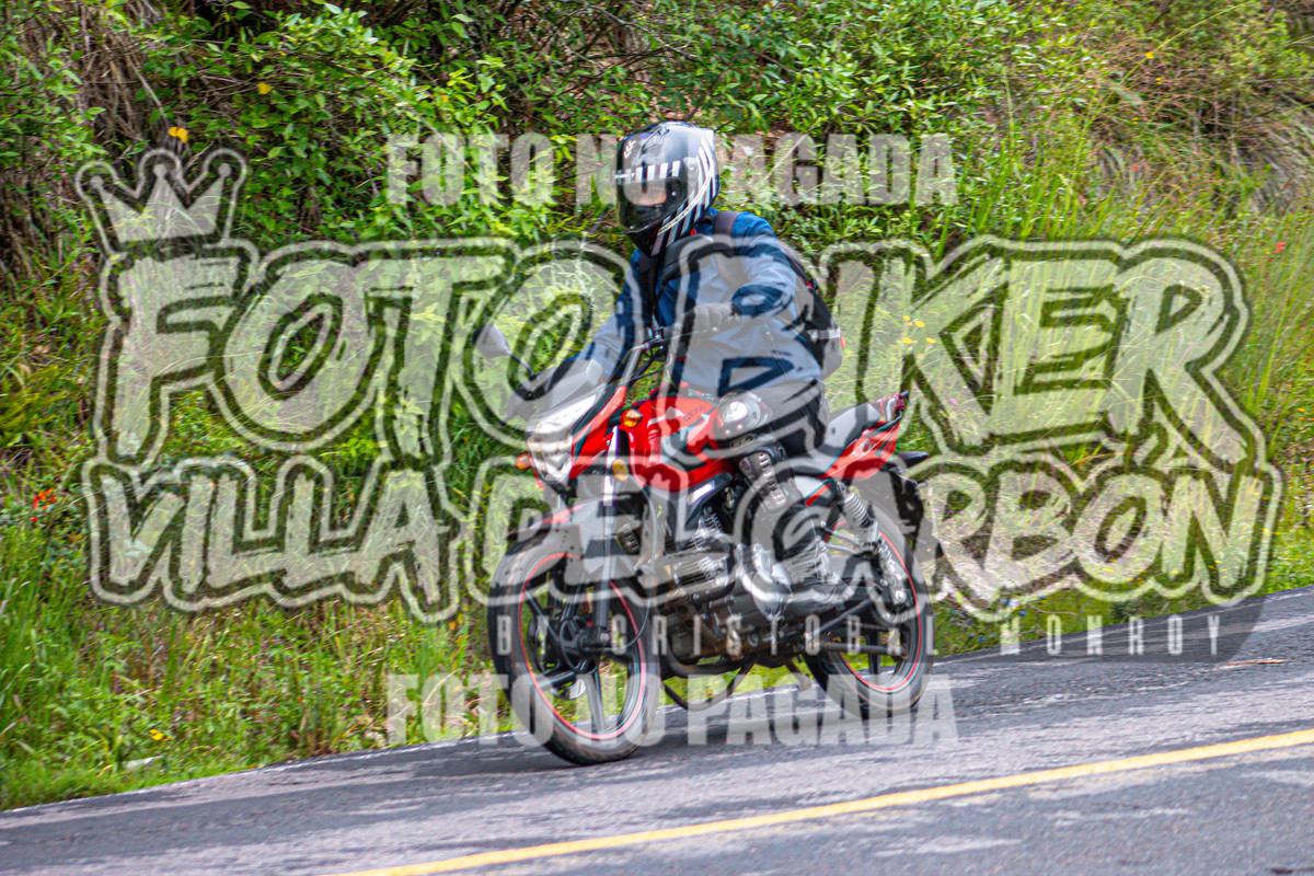 C1P1 141 — Postimages