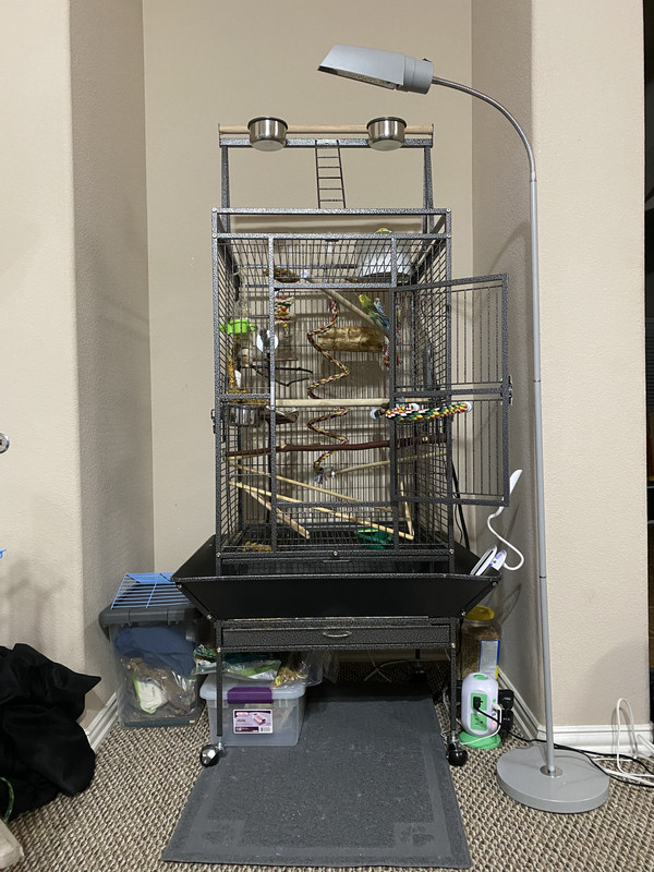 IMG 2434 — Postimages