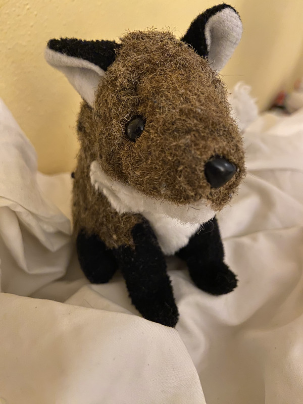 4 FF2 F6 CD 67 B3 4397 A1 AA A8783 E2973 A5 — Postimages