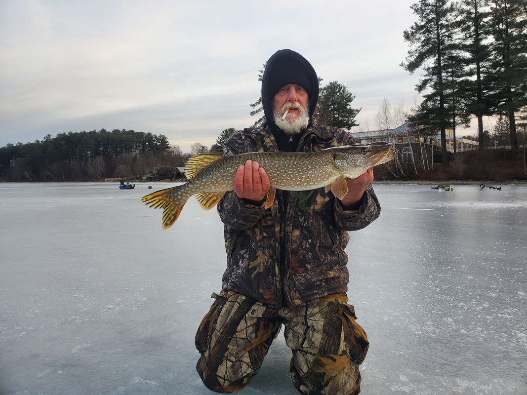 20230111 162310 — Postimages