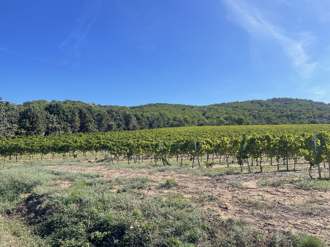 8 A1978 D6 8 BCC 4 B05 9 E82 3 D293 E5 C526 A — Postimages